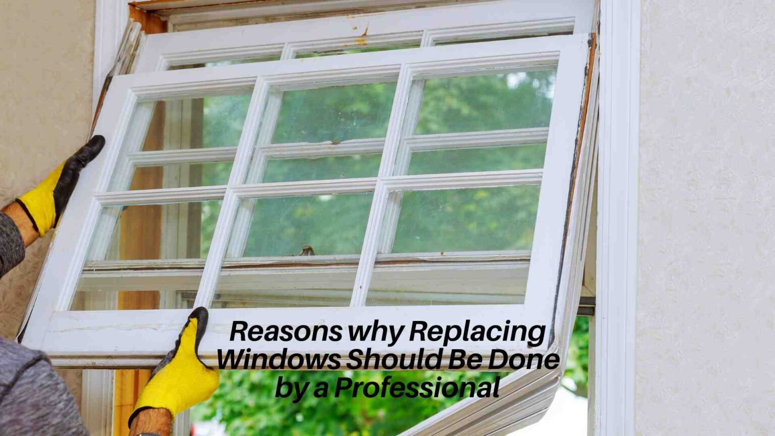 Reasons why Replacing Windows Should Be Done by a Professional