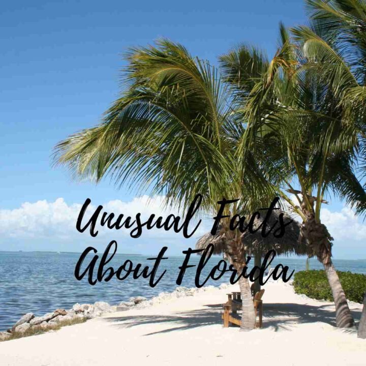 Discover 8 Interesting and Unusual Facts About Florida that You Might ...