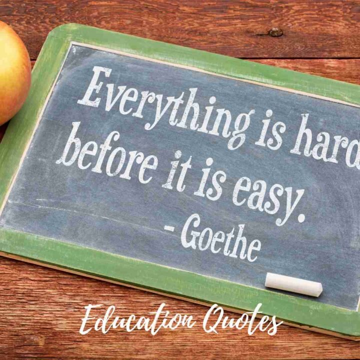 Unconventional Education Quotes That Will Challenge Your Thinking