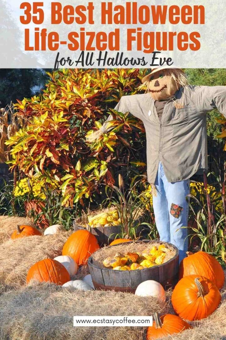 35 Halloween Life-Sized Figures: Get Ready for a Scary Night!