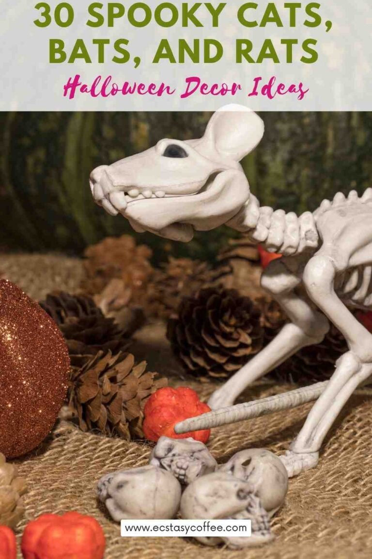 30 Spooky Cats, Bats and Rats Halloween Decor Ideas