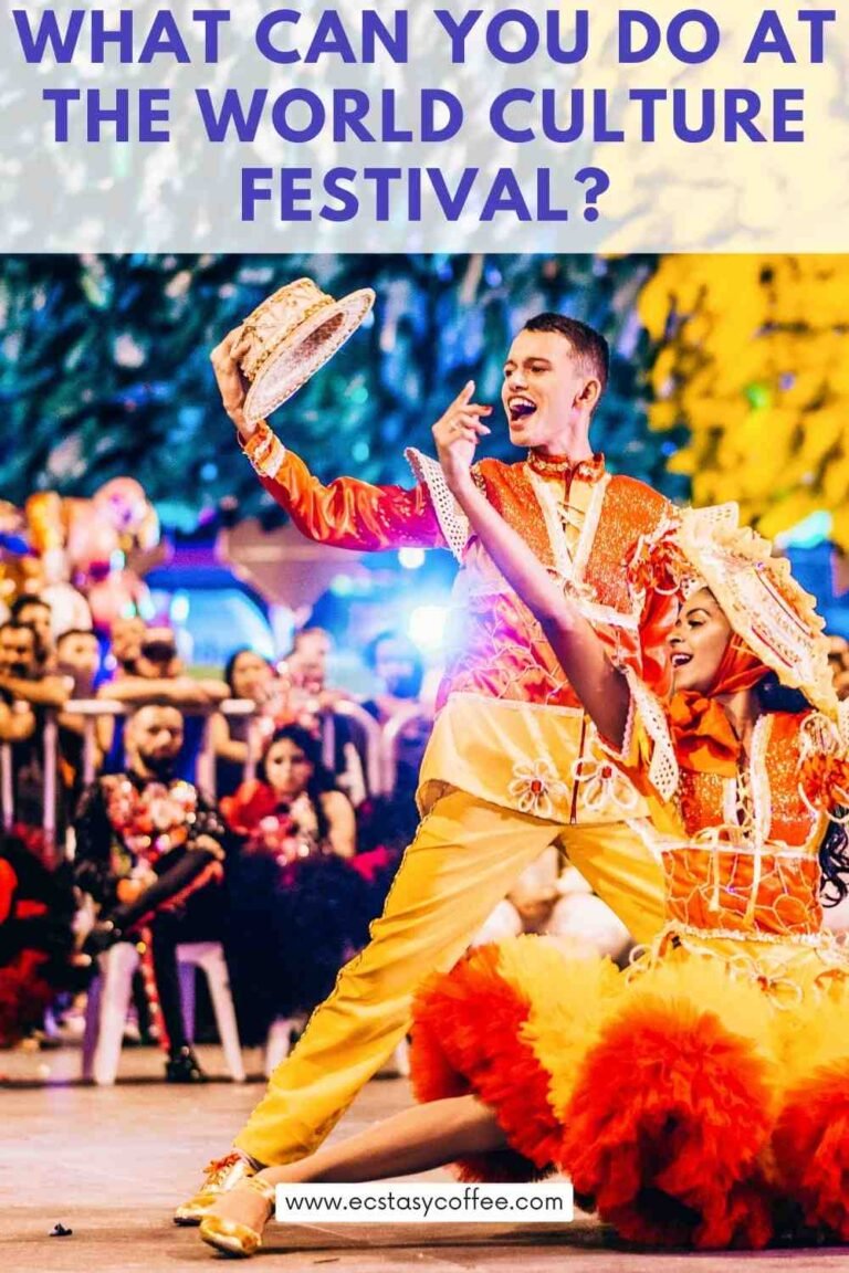 What can you do at the World Culture Festival?