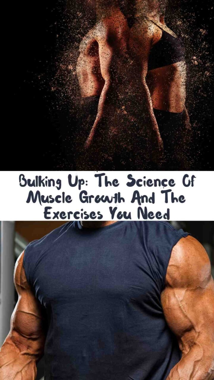 Bulking Up: The Science Of Muscle Growth And The Exercises You Need