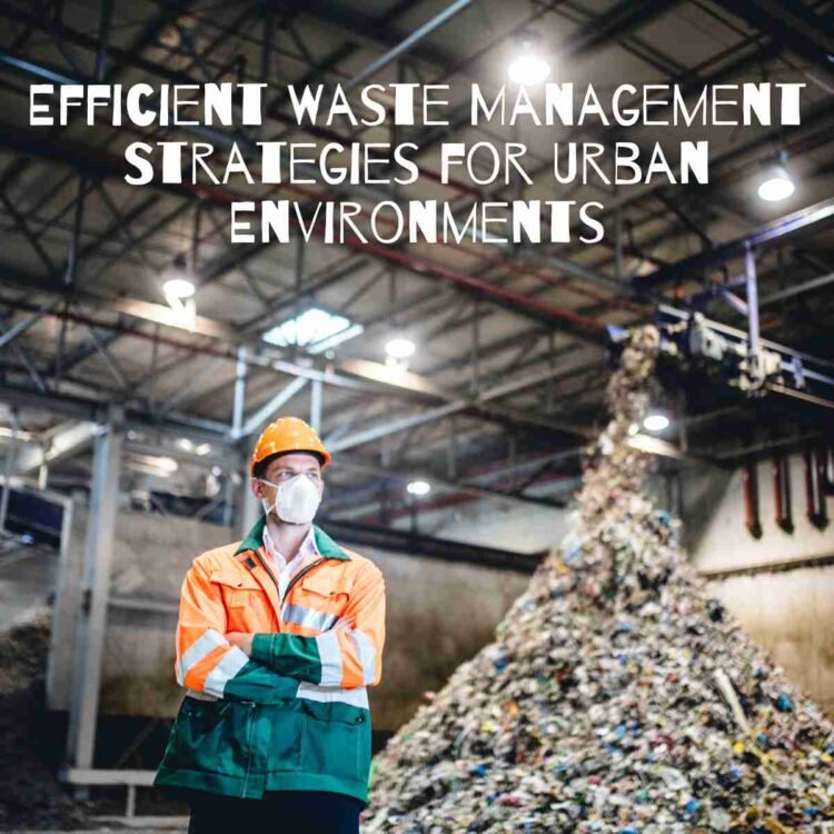 Efficient Waste Management Strategies for Urban Environments