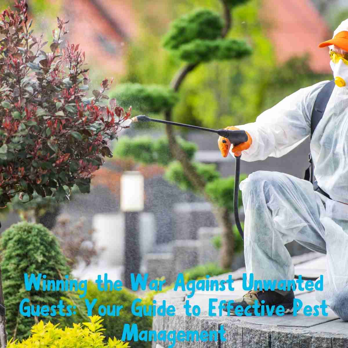 Winning the War Against Unwanted Guests: Your Guide to Effective Pest ...