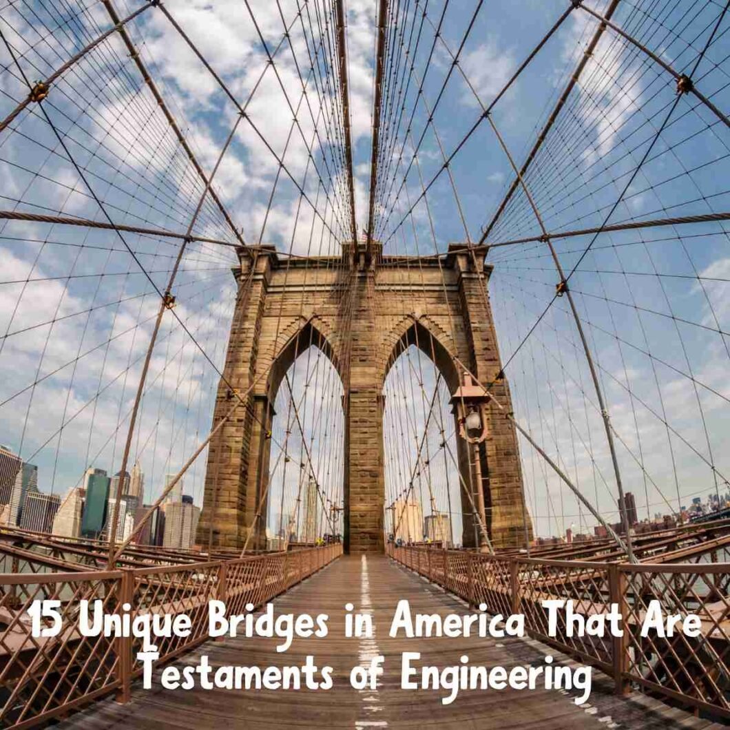 15 Unique Bridges in America That Are Testaments of Engineering