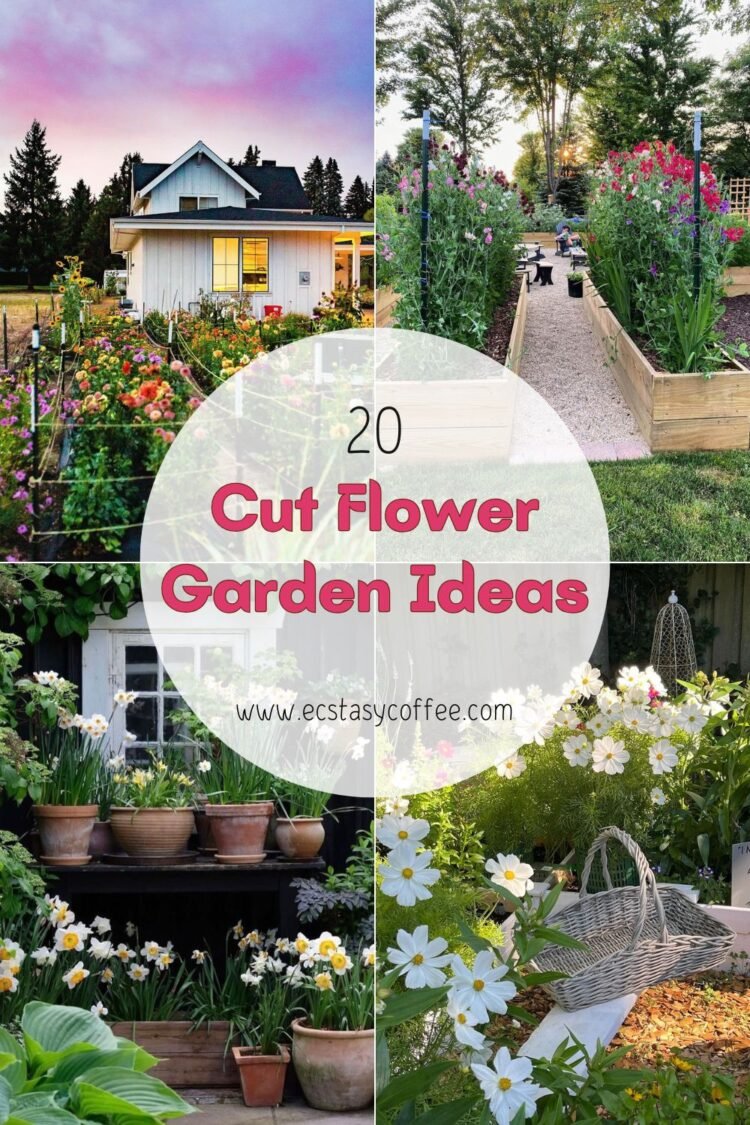 20 Cut Flower Garden Ideas to Grow Your Own Bouquets at Home