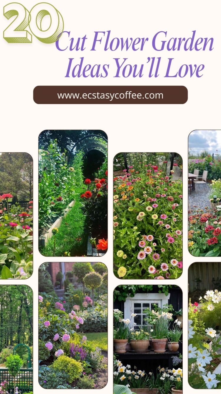 20 Cut Flower Garden Ideas to Grow Your Own Bouquets at Home